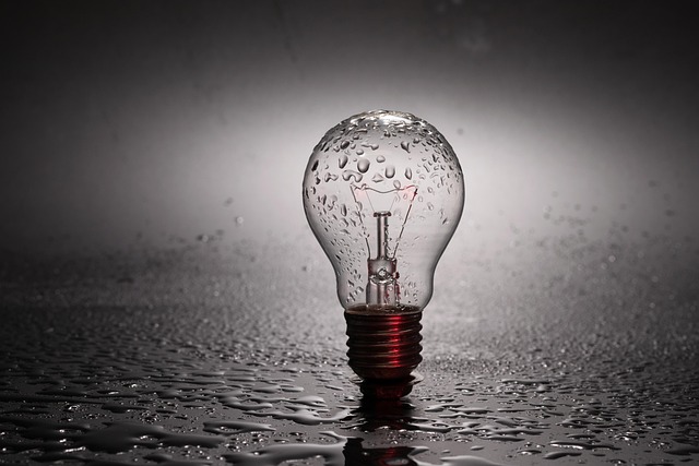 Protected Process Light